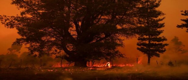 At Least 23 Dead As Dozens Of Wildfires Torch Forests In Chile At Least 23 Dead As Dozens Of Wildfires Torch Forests In Chile