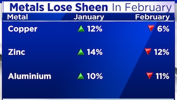Metals lose their sheen in February after a bright start to the year ...