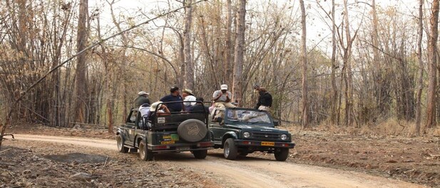 What is the butterfly survey that will be conducted in Maharashtra's ...