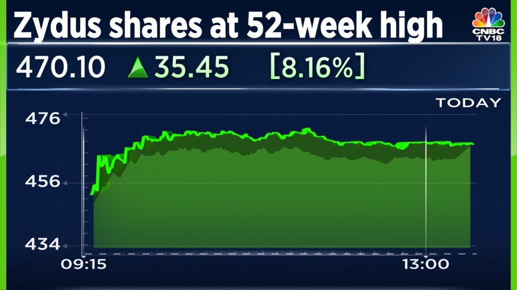 Zydus shares hit 52-week high after company expects domestic business ...