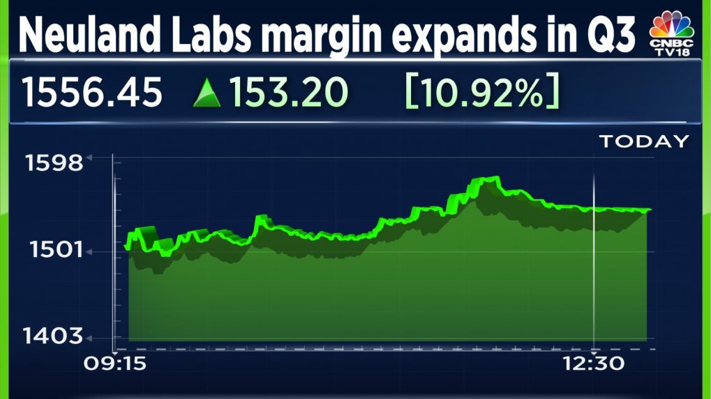 Neuland Laboratories shares gain most in two years after margin expands ...