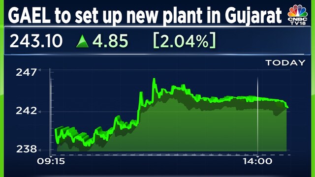 Gujarat Ambuja Exports to set up greenfield corn wet-milling plant at ...