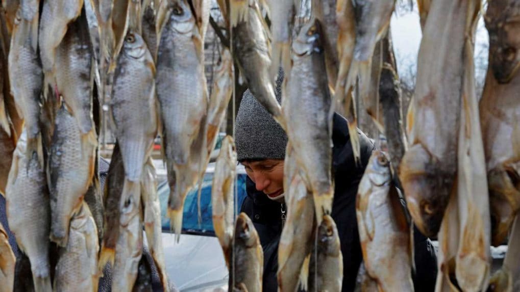 Discovering the best street food culture of Zimbabwe