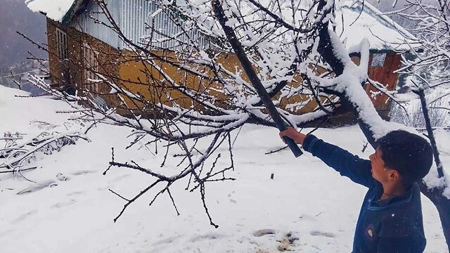 Fresh snowfall witnessed in Himachal, Uttarakhand — see pics - CNBC TV18