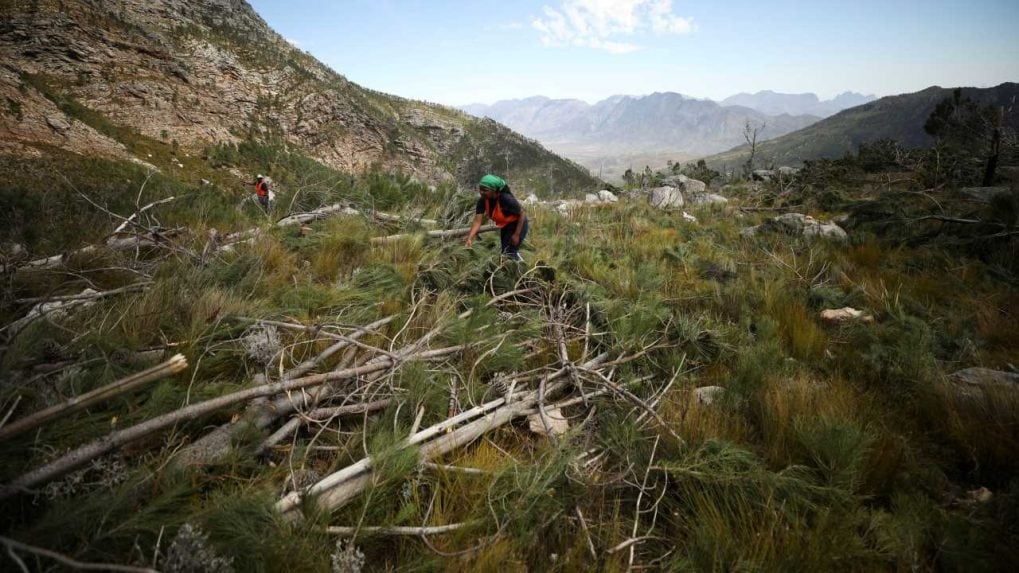 En route to amazement: Indulge in breathtaking views of Sani Pass