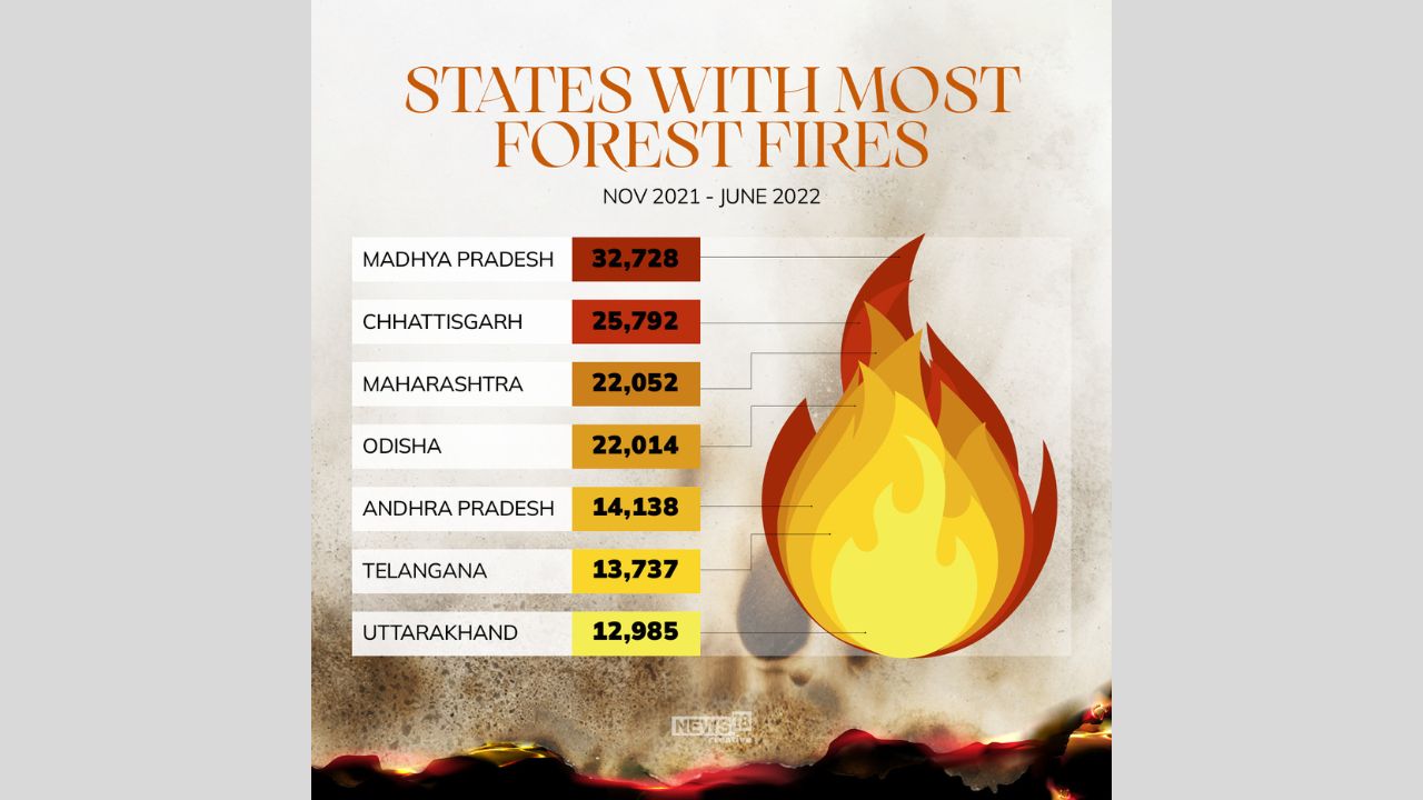 Forest fires rage across India — here's a roundup of recent incidents