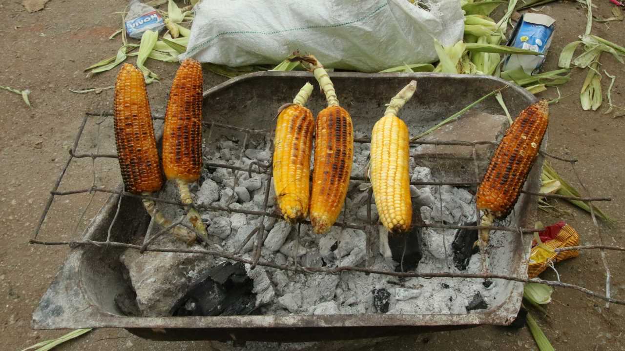 Discovering the best street food culture of Zimbabwe