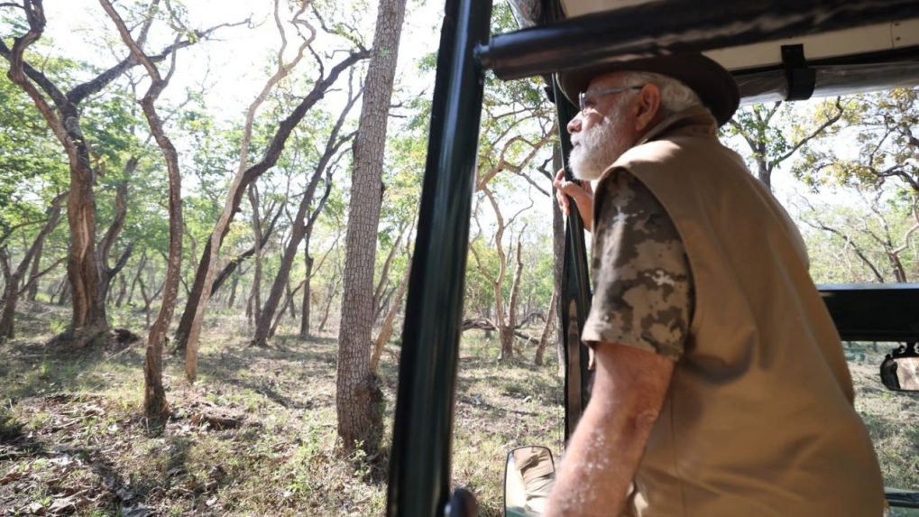 In Pictures: PM Modi's Jungle Safari at Karnataka's Bandipur Tiger Reserve