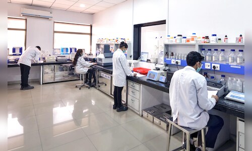 Ipca Labs undergoes crucial US FDA inspection at Ratlam facility amid ...