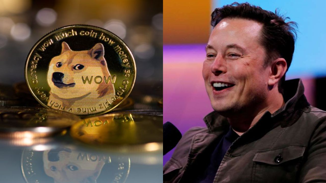 Elon Musk Trolls The Crypto Community With Dogecoin Meme Elon Musk's