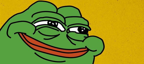 Meme coin PEPE soars 300 percent in last 24 hours — here’s why - CNBC TV18