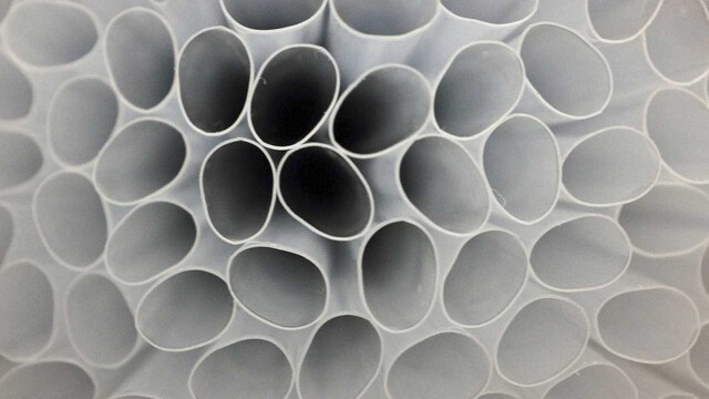 Plastic-eating microbes discovered in high altitudes of Alps, Arctic ...