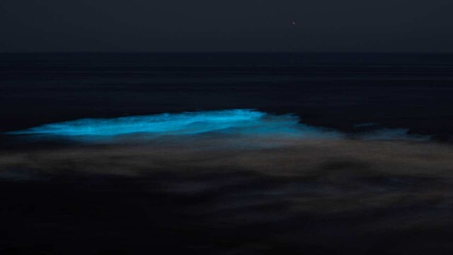 8 beaches in India that glow at night: Where to witness this ...