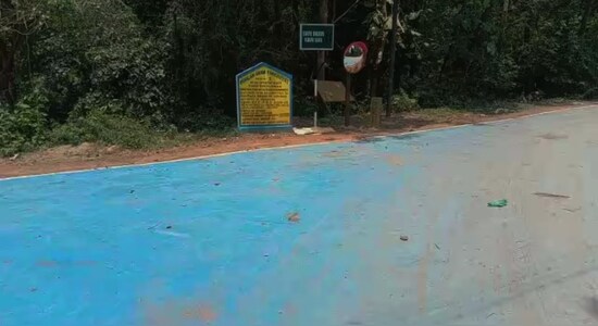 This gram panchayat’s eco-friendly initiative mesmerised the locals ...