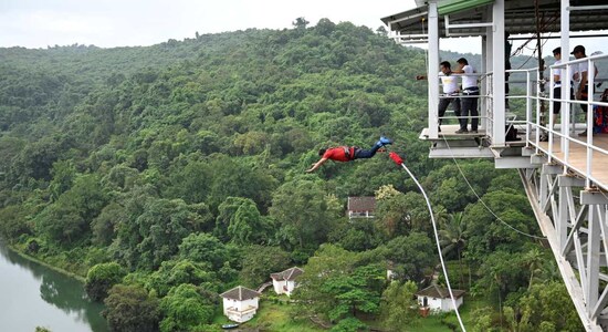 Want to go bungy jumping? Here are some dos and don'ts first-time ...