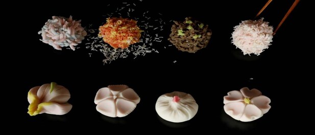 Flavours of Tokyo: Here's a culinary adventure to explore in Japan