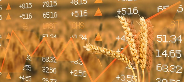 World food prices rise for first time in a year: FAO - CNBC TV18