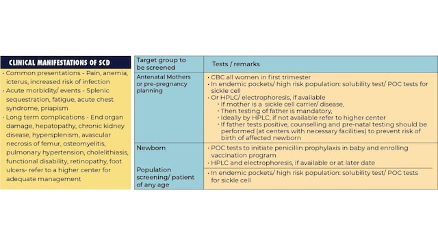 India releases new sickle cell anaemia guidelines — here’s all you need ...