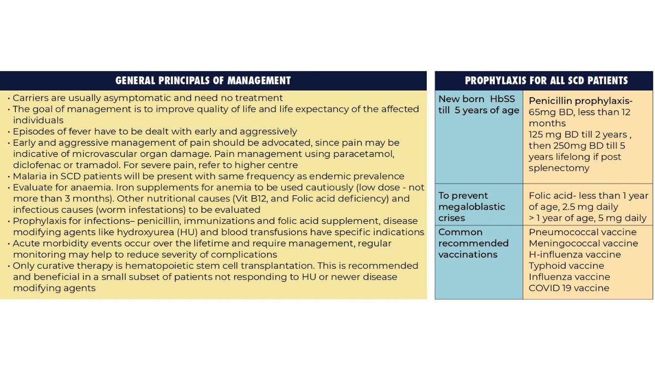 India releases new sickle cell anaemia guidelines — here’s all you need ...