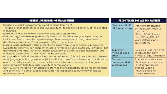 India releases new sickle cell anaemia guidelines — here’s all you need ...