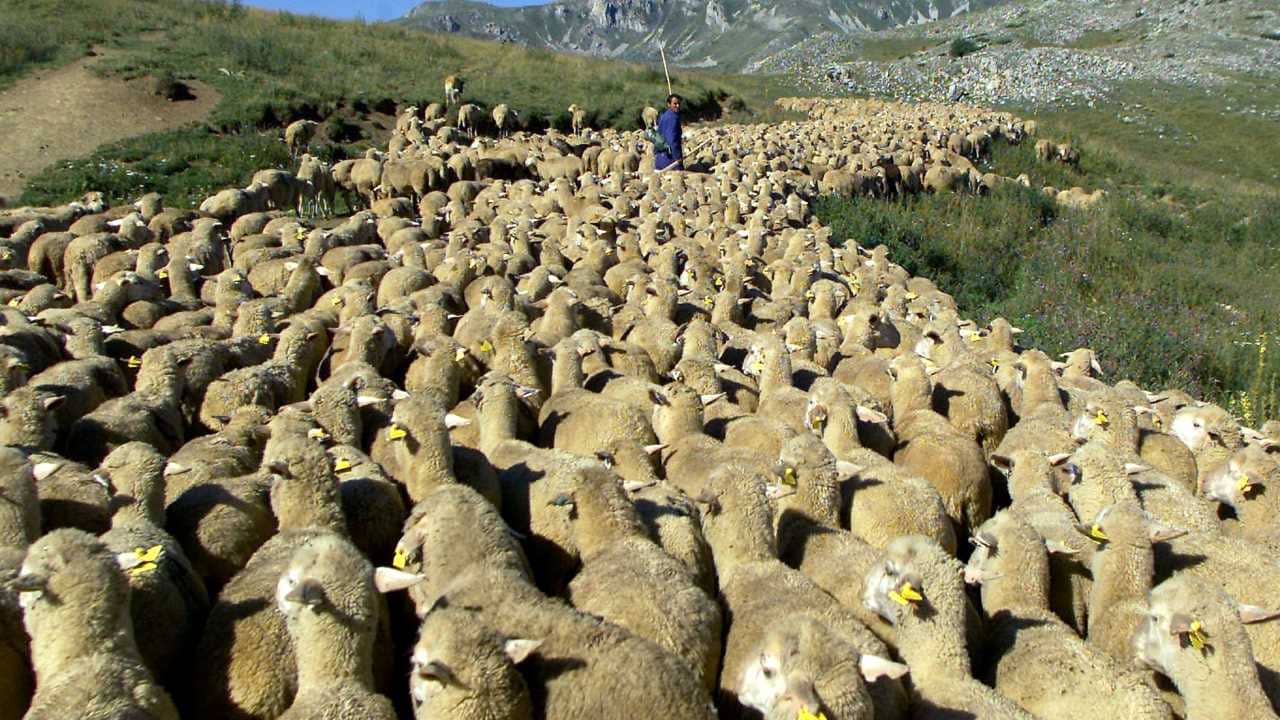 Uncovering North Macedonia: A hidden gem in the Balkans