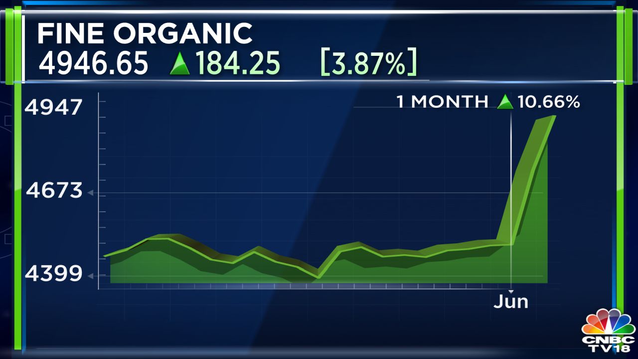 Tech analyst sees upside in Ambuja Cements and Fine Organic