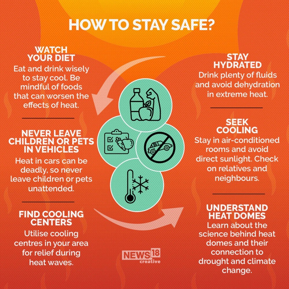 Newsletter | Infosys aims to become an AI-first co: CEO; How to ...