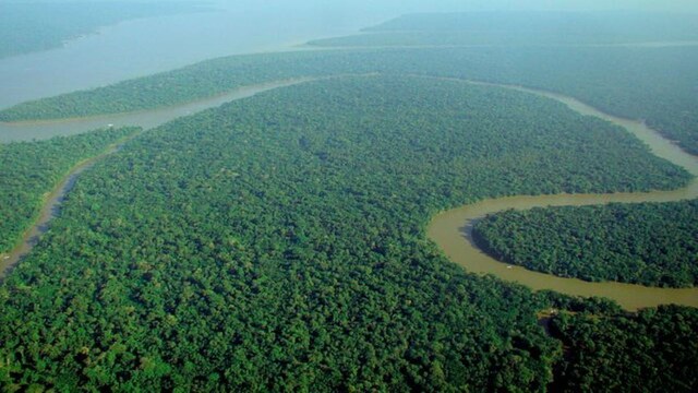 Brazil's Amazon rainforest faces severe drought that may affect around ...
