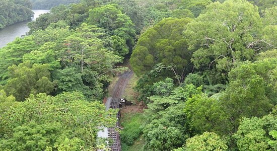 Van Mahotsava Day: World's most beautiful forests - CNBC TV18