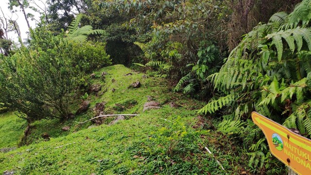 Van Mahotsava Day: World's most beautiful forests - CNBC TV18