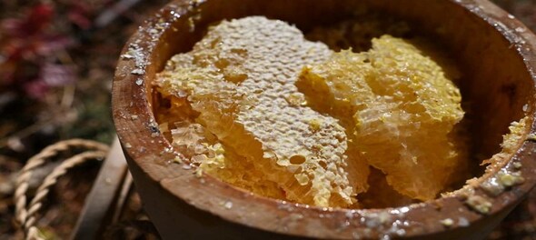 All you need to know about the hallucinogenic 'mad honey' found on ...
