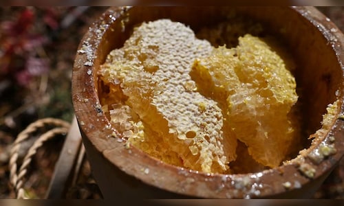 All you need to know about the hallucinogenic 'mad honey' found on ...
