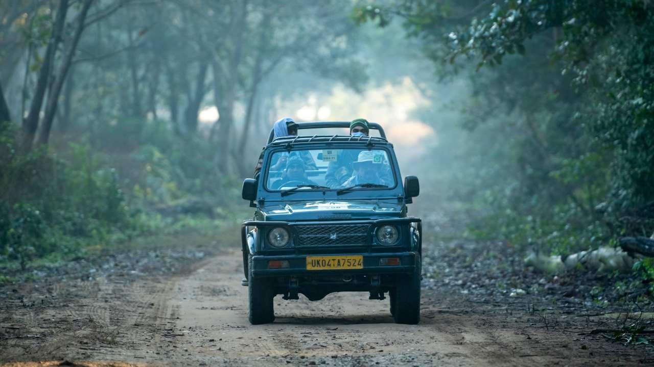 6 reasons why you should visit Rajaji National Park