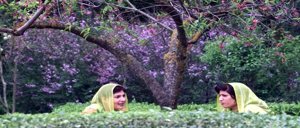 Kupwara's Eco-Parks Are Quickly Becoming a Top Tourist Attraction in ...