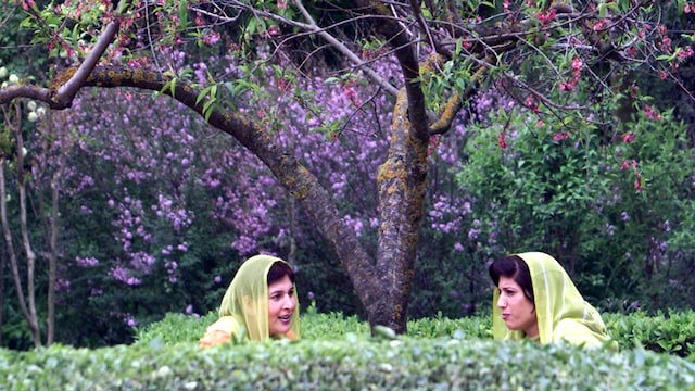 Kupwara's Eco-Parks Are Quickly Becoming a Top Tourist Attraction in ...