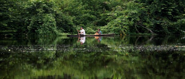 Tips for a Trip to Peru's Amazon: Embrace the Mystique of the Rainforest