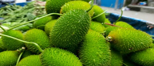 8 Proven Health Benefits of Having Monsoon Vegetable - Kantola