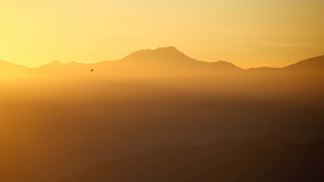 Sun tourism: This latest trend is taking vacationers higher up the ...