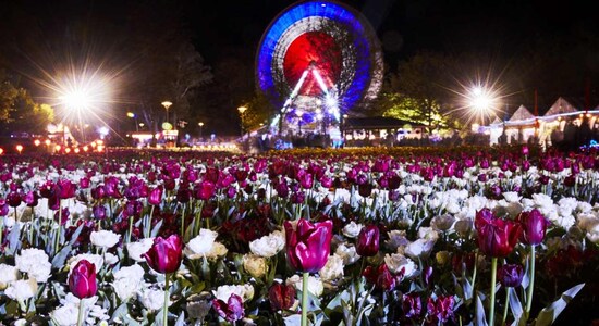 Spend the winter in Canberra and indulge in these 5 exquisite activities