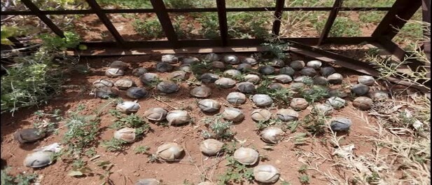 Banned in over 100 countries, what are the deadly cluster bombs US will ...