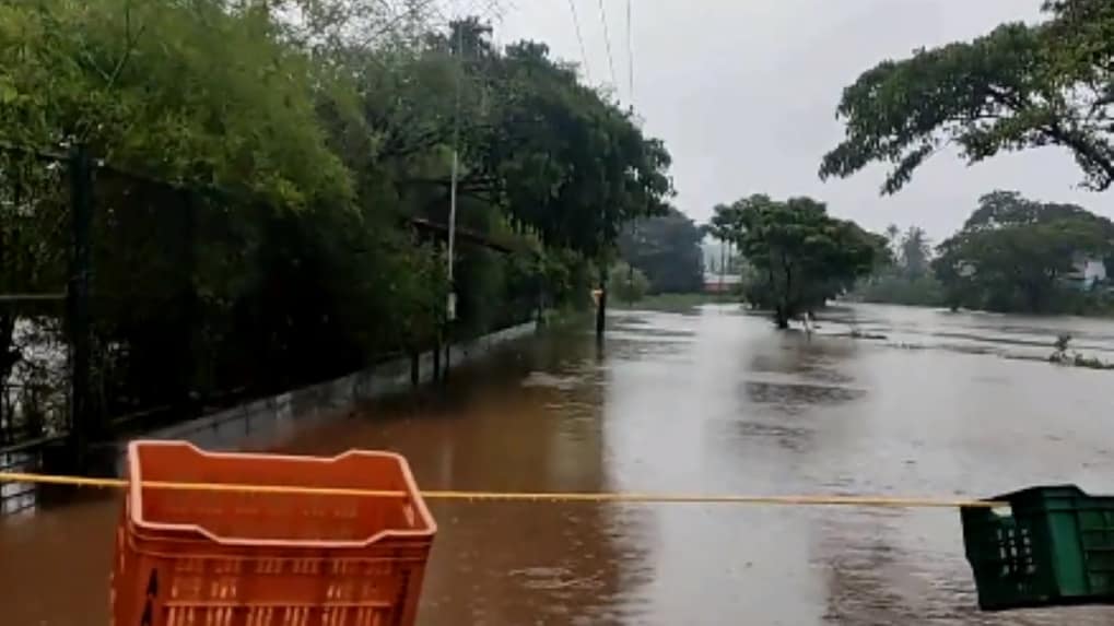 WATCH: Kakkad river in Kerala overflows, flood water enters residential ...