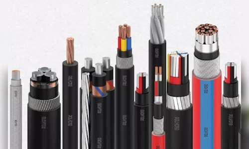Polycab dethrones Havells as the most valuable wires & cables stock in ...