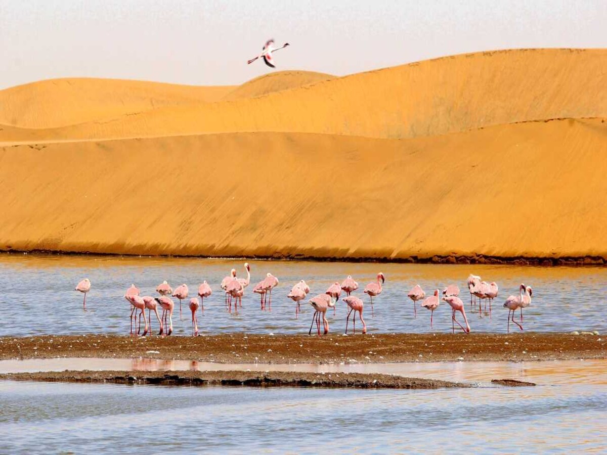 Namib Naukluft National Park