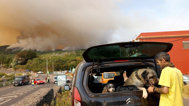 Evacuation, firefighting efforts continue as Spain battles wildfire ...