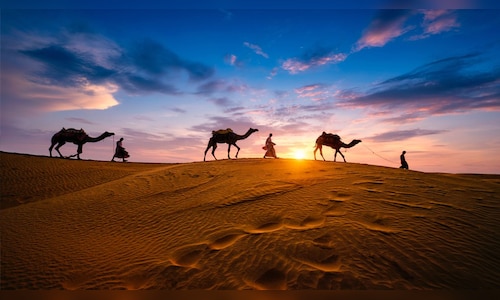 Climate change may turn Thar Desert green by century's end: Study ...