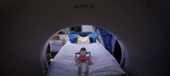 Alien and Alive at 1,000 Years | 'Non-human' corpse is 'in gestation ...