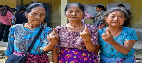 Purple fingers and indelible ink are the hallmarks of India's elections ...