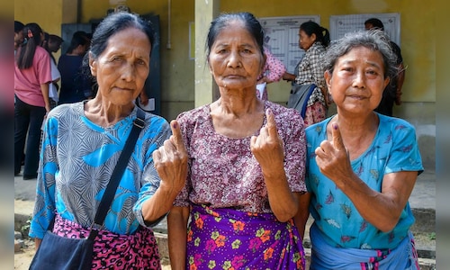 Purple fingers and indelible ink are the hallmarks of India's elections ...