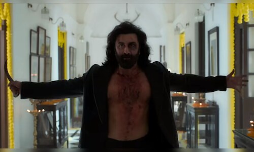 Animal Box Office Collection Day 4: Ranbir Kapoor starrer earns over ...