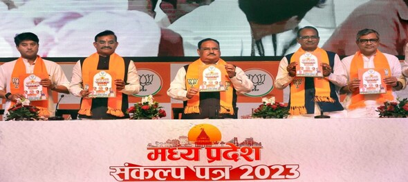 BJP unveils Madhya Pradesh manifesto: Promises MSP hikes, houses under Ladli Bahna, and more